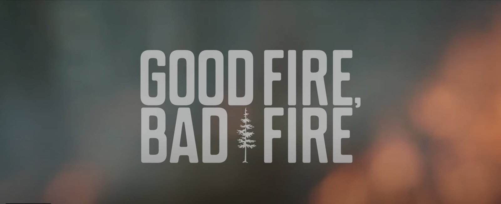 Good Fire, Bad Fire - CSFM